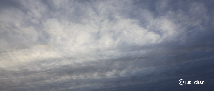 SOUND OF WIND DRIVEN RAIN/ Will Ackerman